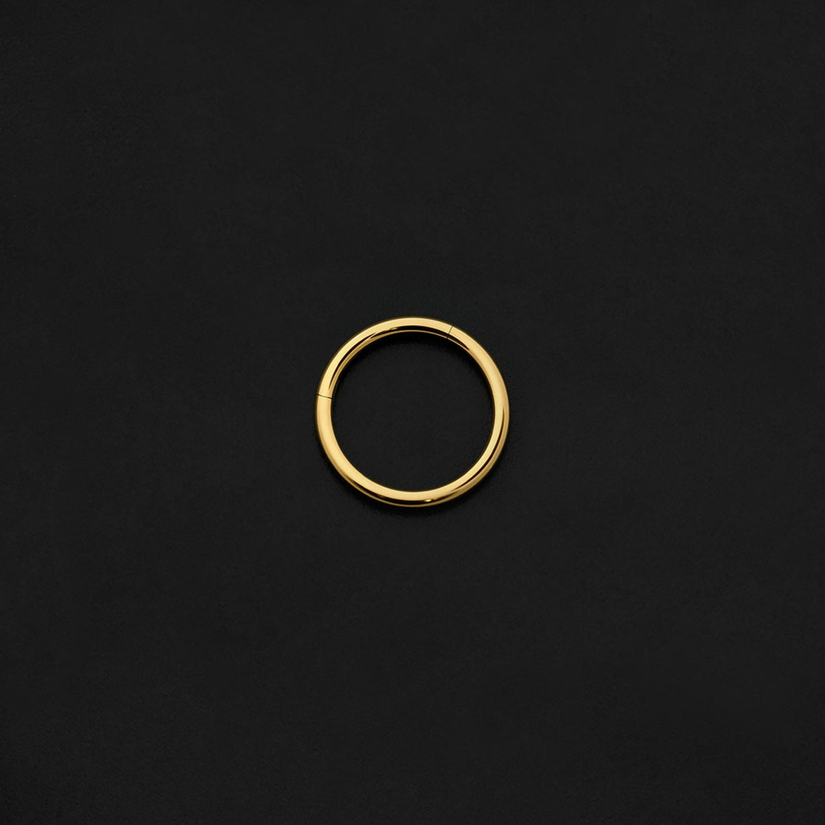 ASTM F136 Implant Grade Titanium 16 Gauge Gold Hinged Ring Clicker – Pheenix Piercing